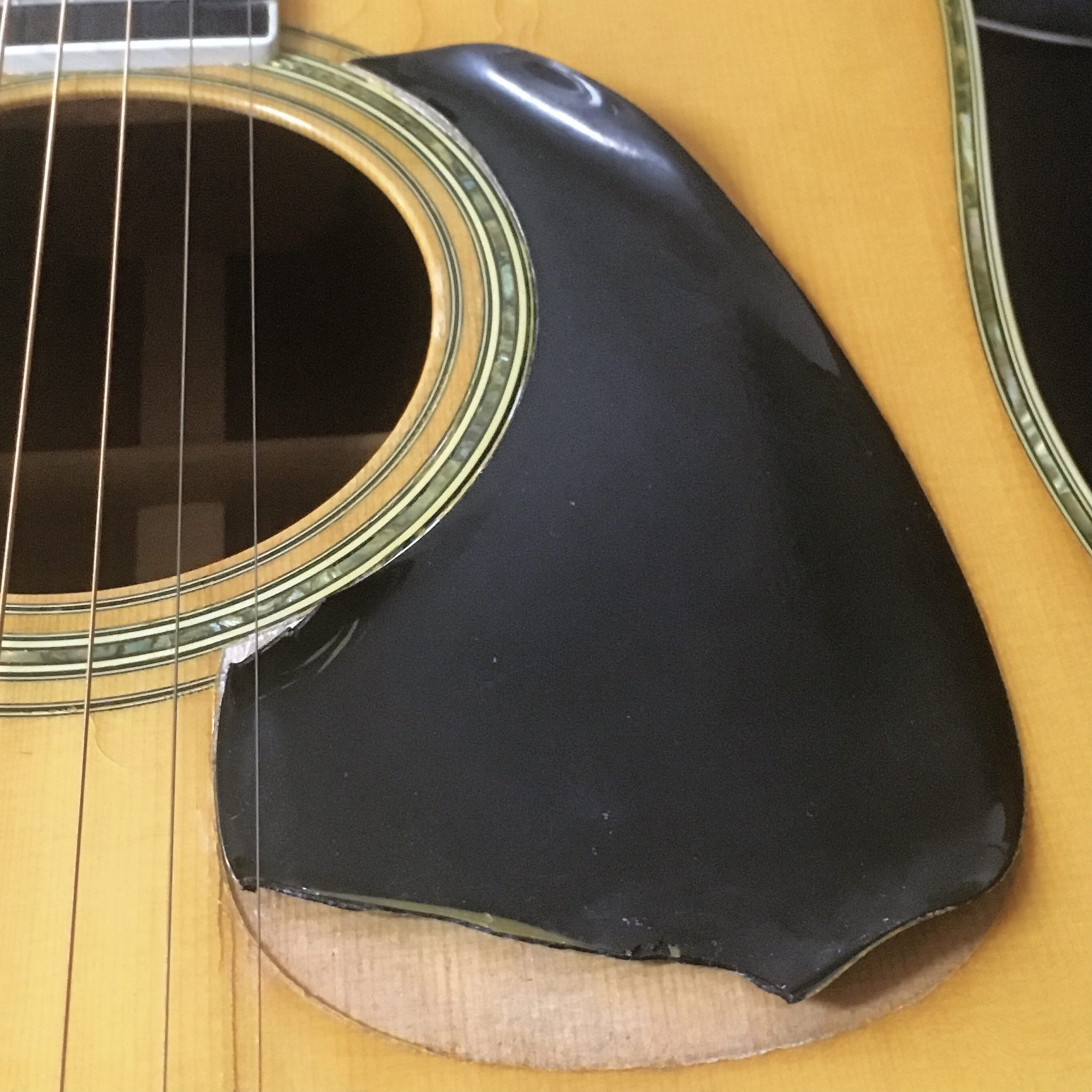 Vintage Acoustic Guitar Pickguard Replacement - Calico Guitarworks