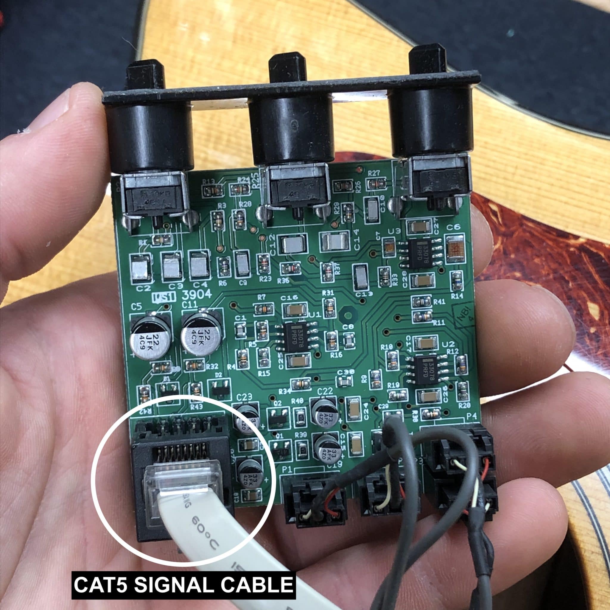 Taylor Guitars Expression System - Calico Guitarworks